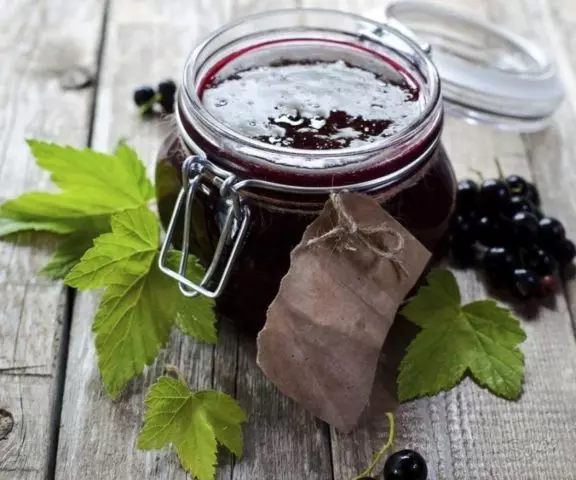 Blackcurrant jelly resept yubukonje: hamwe na gelatine, fructose, kuri agar agar 4580_9