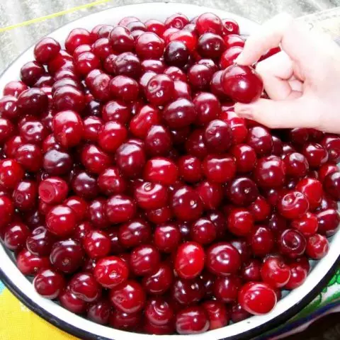 Cherries tare da sukari ba tare da dafa abinci ba: yadda ake dafa abinci a gida, girke -girke tare da hoto 4583_2