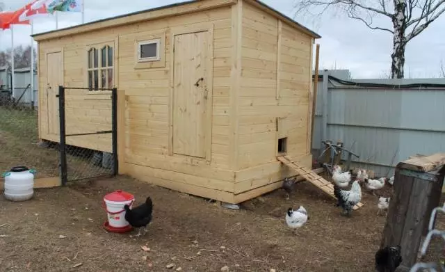 Barn for chickens 4594_11