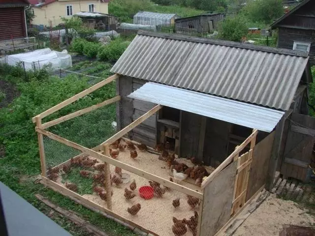 Barn for chickens 4594_17