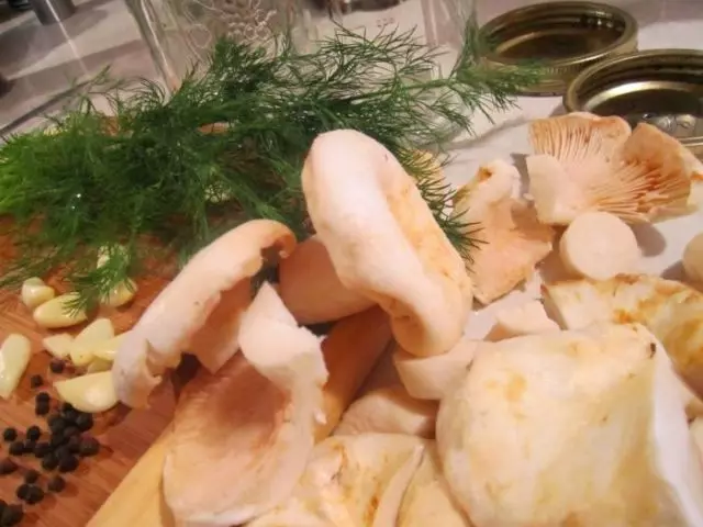 Russula en escabeche para el invierno: recetas sencillas en casa. 4611_3