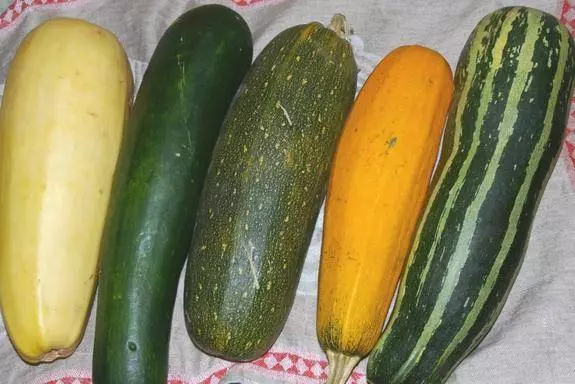 Caviale di zucchine per l'inverno come negozio 4682_5