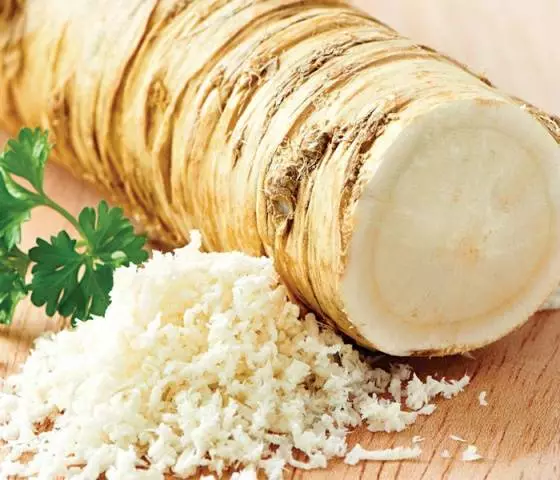 Adjika horseradish qish uchun pishirmasdan 4739_2