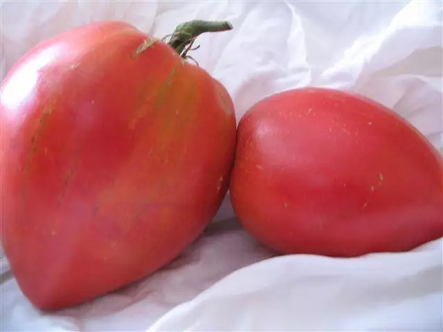 Tomato Danko: karakterizaĵoj kaj priskribo de la vario 4935_1