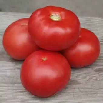 Polikarbonatozko berotegietarako tomate barietate onenak 4941_11