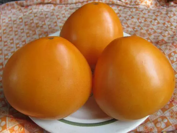 Polikarbonatozko berotegietarako tomate barietate onenak 4941_14