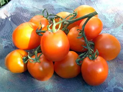 Tomato De Barao: Goavana, mainty, mena, mavokely, mpanjaka, volamena, volomboasary 5004_9