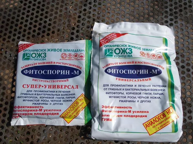 በፀደይ ወቅት ከ Fitosporin ጋር የግሪን ሃውስ ሕክምና -እንዴት ማራባት ፣ አፈሩን ማልማት