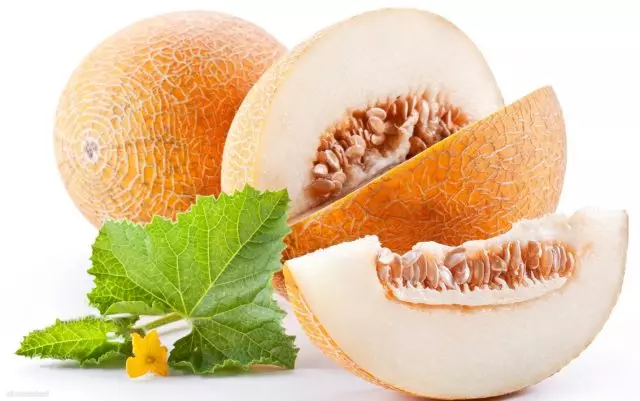 Melon: manfaat dan bahaya bagi kesehatan tubuh, bagi wanita, untuk ibu hamil, vitamin, kalori, cara mengonsumsi dengan penurunan berat badan, dengan pankreatitis 5123_1