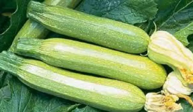 Anong mga pagkakaiba-iba ng zucchini ang angkop para sa imbakan ng taglamig 5139_8