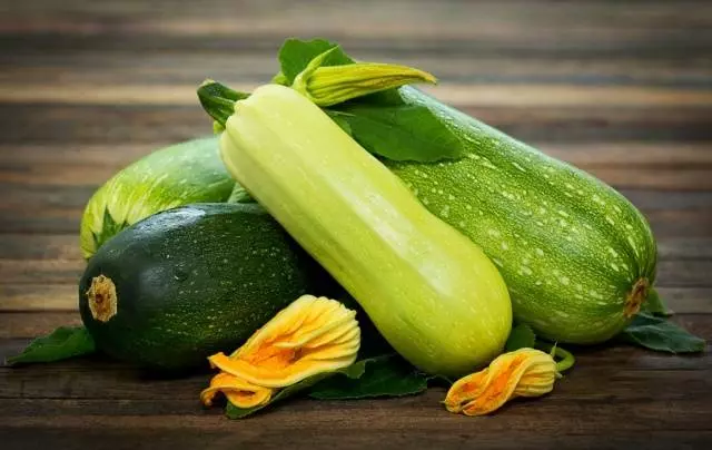 Zucchini: Setzlinge aus Samen ziehen, im Freiland pflanzen 5145_13