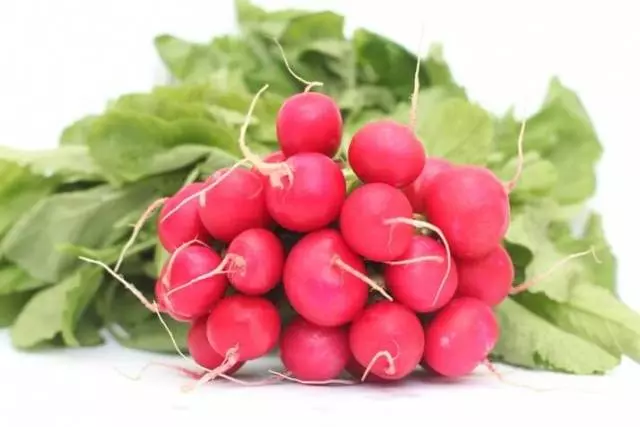 Radish Sora: disgrifiad, llun, adolygiadau 5249_1