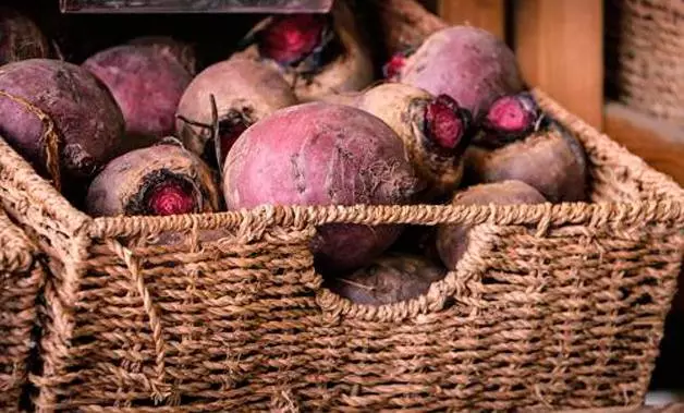 Beet harvest time 5282_4