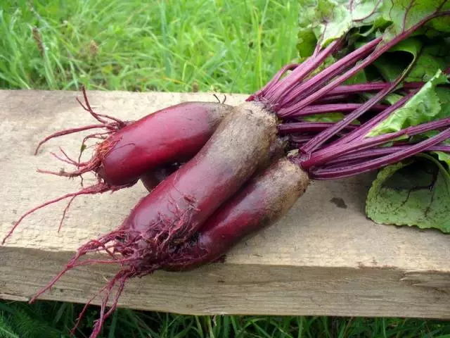 Ungayigcina kanjani i-beet 5283_5