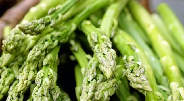 Bishiyar asparagus: fa'idodi da illa, abin da ya ƙunshi, aikace -aikace, ƙimar abinci 5285_1