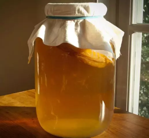 Kombucha: kung unsaon magluto sa usa ka 3 litro nga garapon, pila ang asukal 535_2