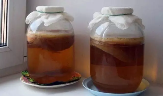 Kombucha: hvernig á að elda í 3 lítra krukku, hversu mikinn sykur 535_3