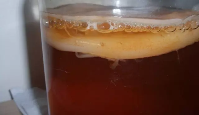 Kombucha: hur man lagar mat i en 3 liters burk, hur mycket socker 535_5