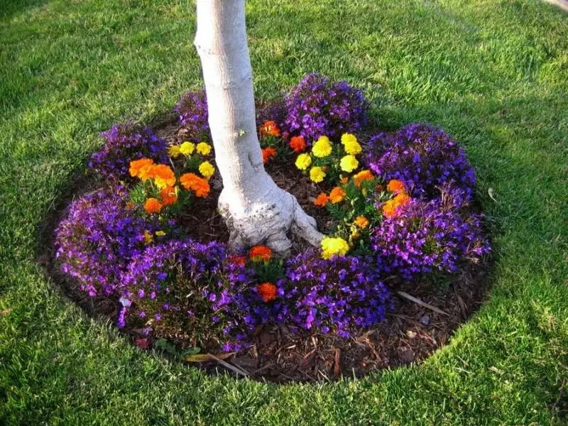 Gør-det-selv blomsterbed omkring træet på landet + foto