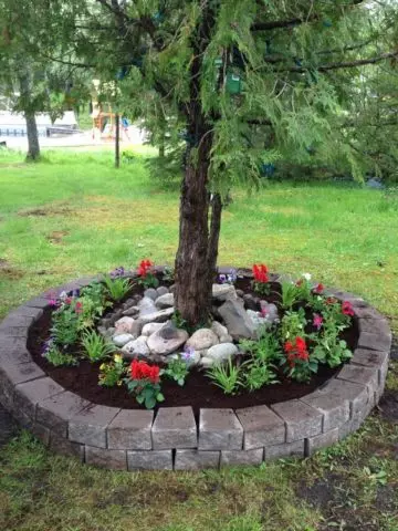 Do-it-yourself flower bed around the tree in the country + photo 536_16