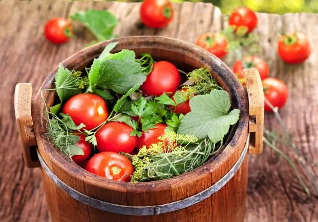 Kâlde pickling fan tomaten: yn in bak, yn in panne, yn potten, yn in vat 538_10