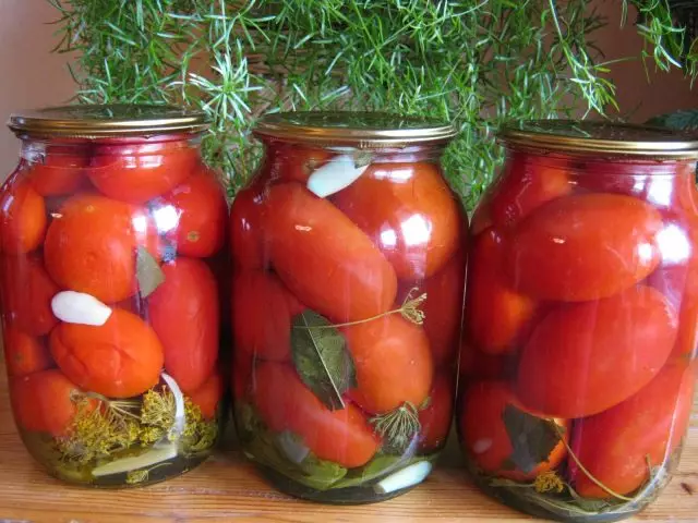 Kâlde pickling fan tomaten: yn in bak, yn in panne, yn potten, yn in vat 538_12