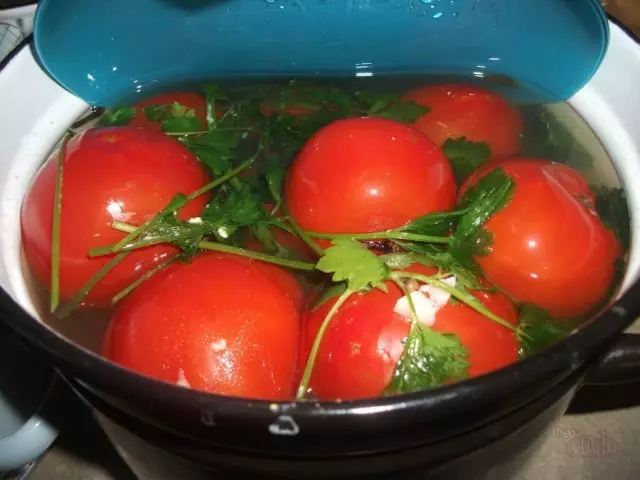 Kâlde pickling fan tomaten: yn in bak, yn in panne, yn potten, yn in vat 538_13