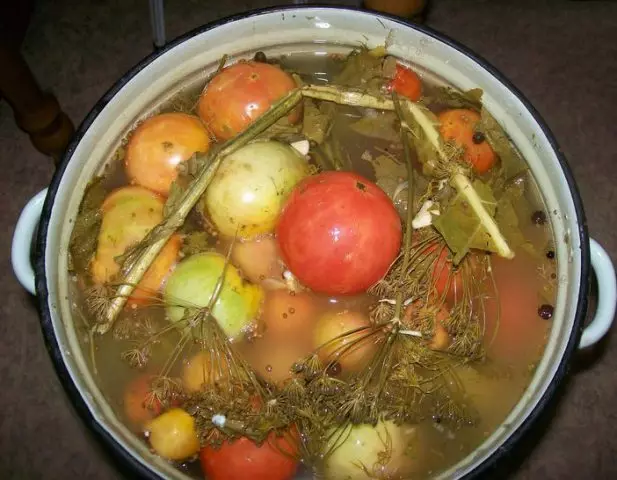 Kutola kozizira kwa tomato: mu chidebe, mu poto, mumitsuko, mu mbiya 538_17