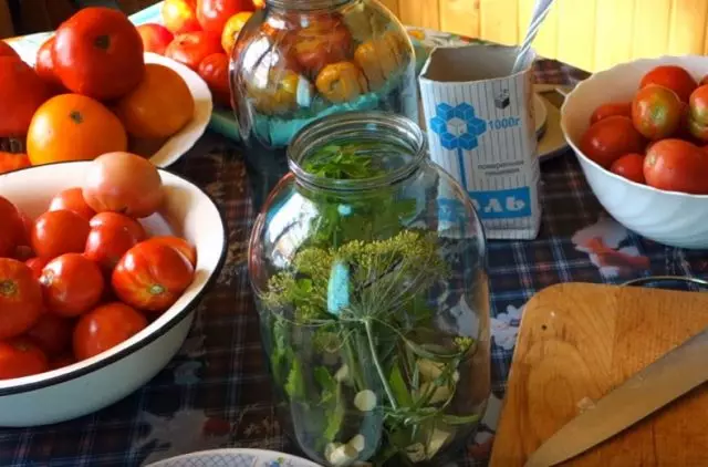 Kâlde pickling fan tomaten: yn in bak, yn in panne, yn potten, yn in vat 538_2