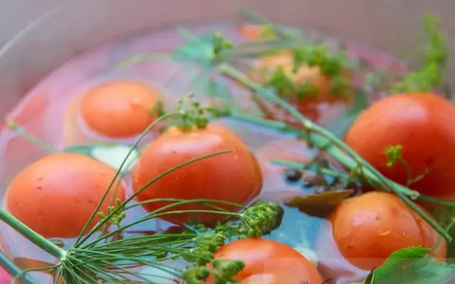 Kâlde pickling fan tomaten: yn in bak, yn in panne, yn potten, yn in vat 538_27