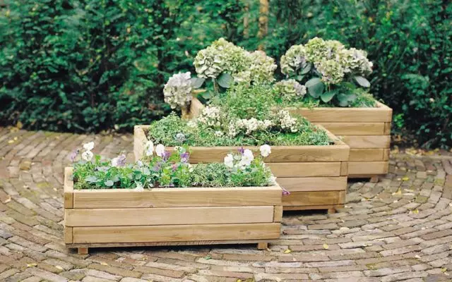 Flowerbeds from boxes: photo 539_11