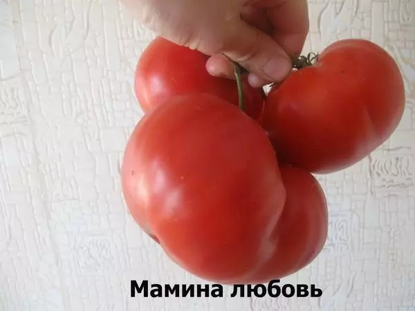 Мамина любов