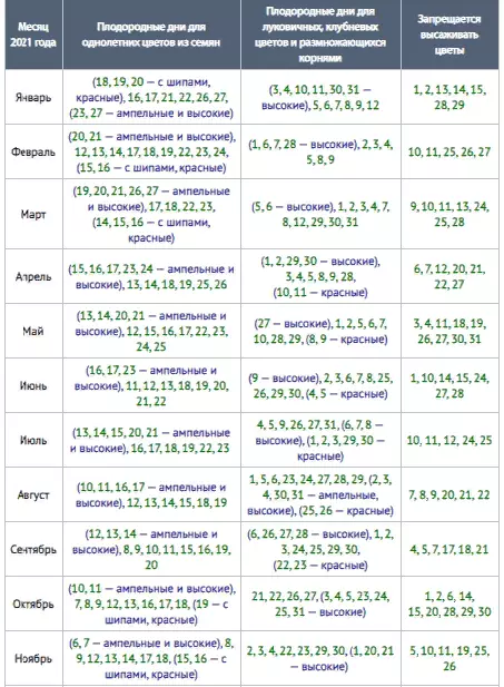 Kalendár výsadby kvetov na rok 2021 5444_2