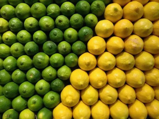 What is the difference between lime and lemon 5454_2