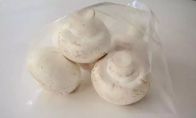 Como guardar champignon fresco em casa: na geladeira, como guardar até o ano novo, para o inverno 5522_2