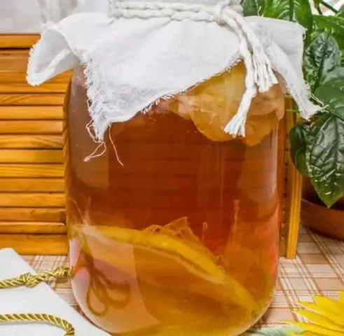 Paano maunawaan na ang kombucha ay lumala (nawala): punit, puting pamumulaklak, pelikula, kung paano gumaling, kung paano mabuhay muli sa bahay 554_9