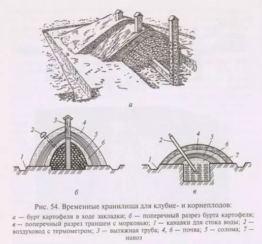 Төмс хадгалах 5677_10