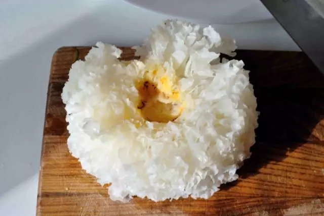 Cogumelo da neve (gelo, prata, Tremella fuciformis, Tremella fuciformis): o que é, como se parece, onde e como cresce, comestível ou não 5691_25