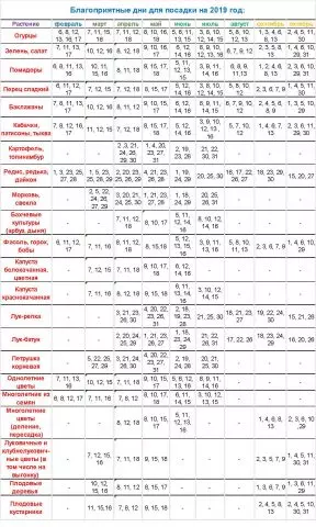 Calendario lunare (semina) del giardiniere-giardiniere per giugno 2019 57_3