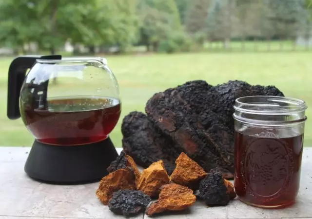 Chaga：有用的特性，对孕妇有没有可能，对哪些疾病有帮助，评论 5895_3