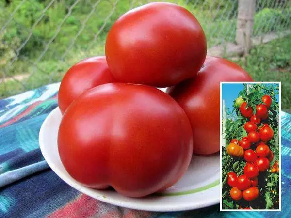 Cureyên nû yên tomato ji bo 2021 5962_17