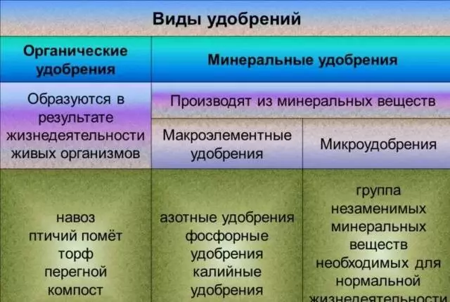 Jaká hnojiva použít při výsadbě rajčat 5964_2