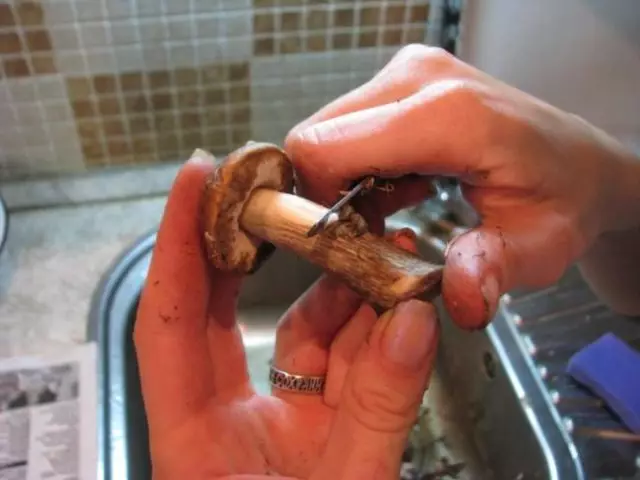 How to peel and wash porcini mushrooms: before frying, boiling, freezing 6010_4