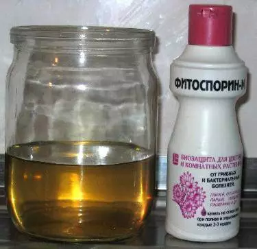 Ukwelashwa kotamatisi nge-phytosporin 6052_4