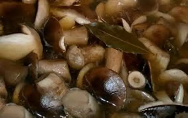 Waarde: kookrecepten, snel en gemakkelijk champignons pellen 6084_5