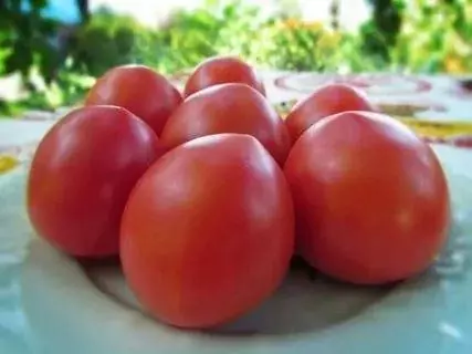 Tomato Budenovka: lainlaing paghulagway, litrato, pagsusi 6134_3