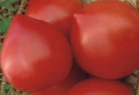 Tomato Budenovka: litlhaloso tse fapaneng, linepe, litlhahlobo 6134_4