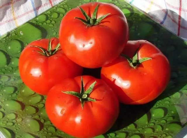 Tomato Bobkat: sifooyinka iyo sharaxaadda kala duwan 6172_7