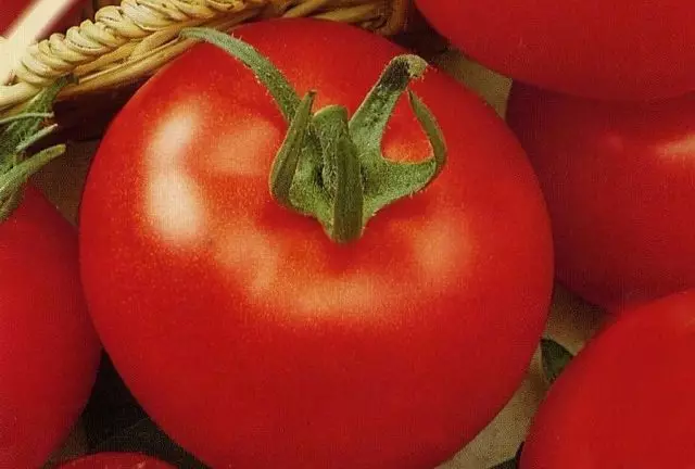 Tomate Alaska: características y descripción de la variedad, fotos, reseñas, rendimiento. 6174_1