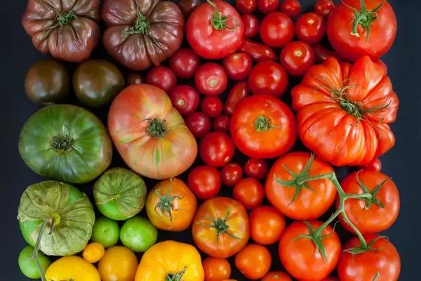 Pomodori: le migliori varietà per terreni aperti - descrizione, foto, recensioni 6196_1